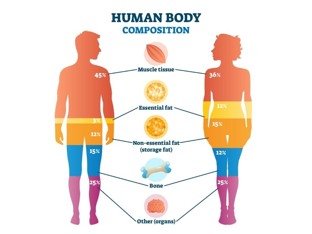 Apakah Komposisi Tubuh Kamu Seimbang? Yuk Coba Tes Dengan Alat ini!